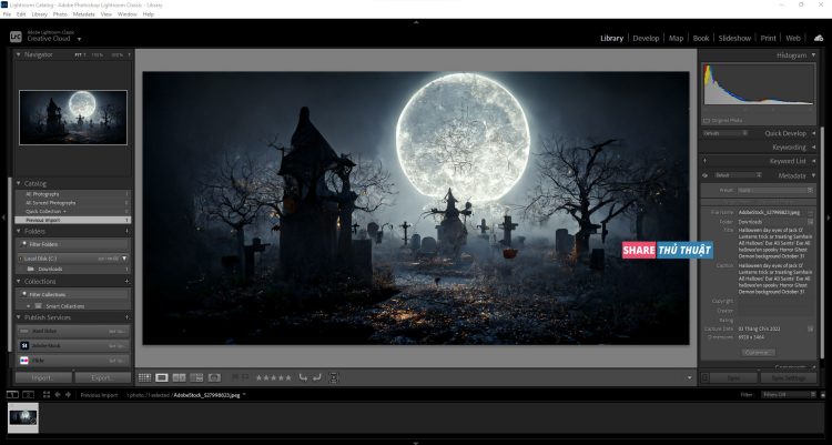 Tải Adobe Lightroom Classic 2023 v12.4.0 Full Mới Nhất - Share Thủ Thuật